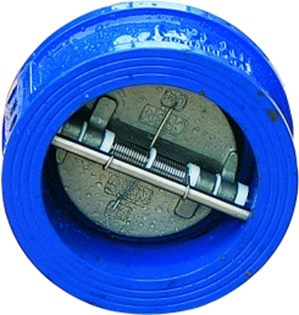 Dual plate check valve