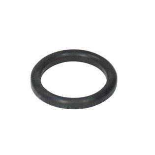 Inoxpa Union DIN11851 Seals EPDM DN10