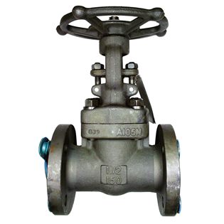 FLUVAL Gate Valves A105/8 150RF 2"