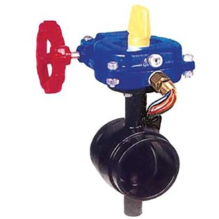 Berg Montana Bfly Valves PN16 Grooved Body/Disc DI+EPDM Profit UL/FM DN125